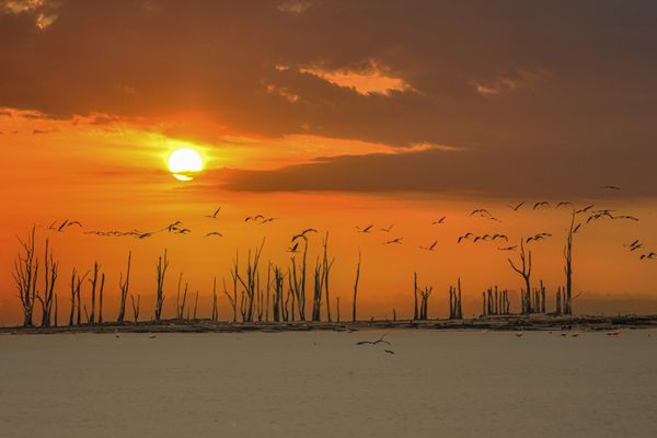 Atardeceres y amaneceres Imágenes y fotos