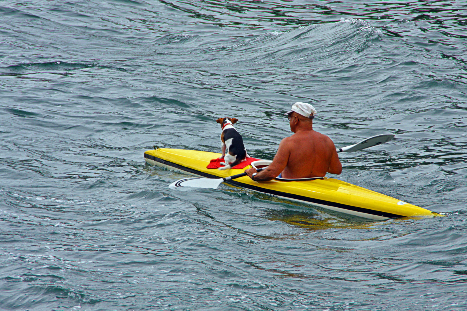Herr & Hund.... Foto & Bild | erwachsene menschen, menschen in der ...
