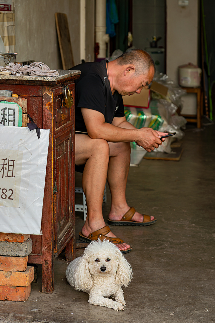 Herr und Hund Foto & Bild | live, china, people Bilder auf fotocommunity