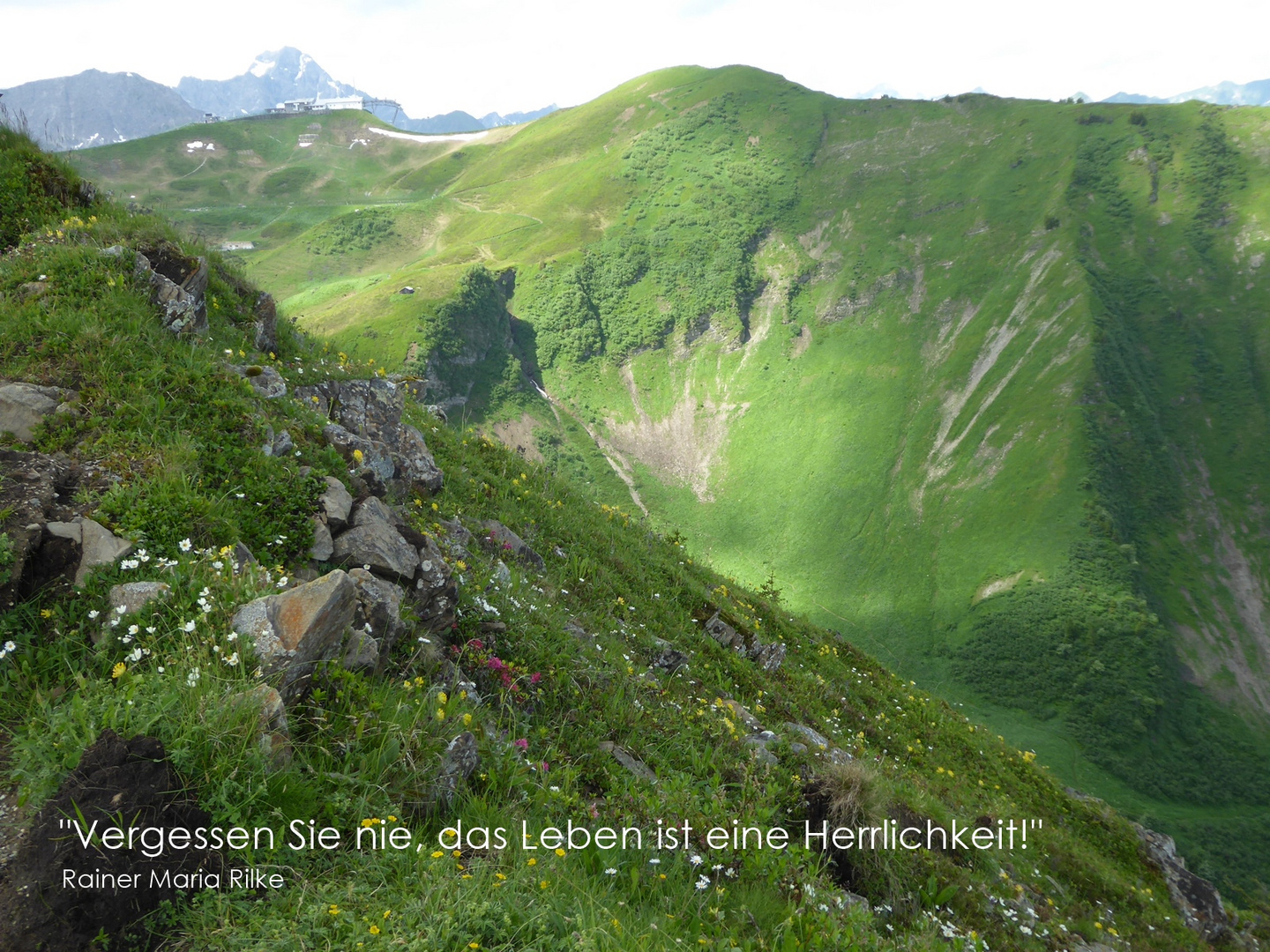 Herrlich! Foto & Bild | spezial, leben, freude Bilder auf fotocommunity