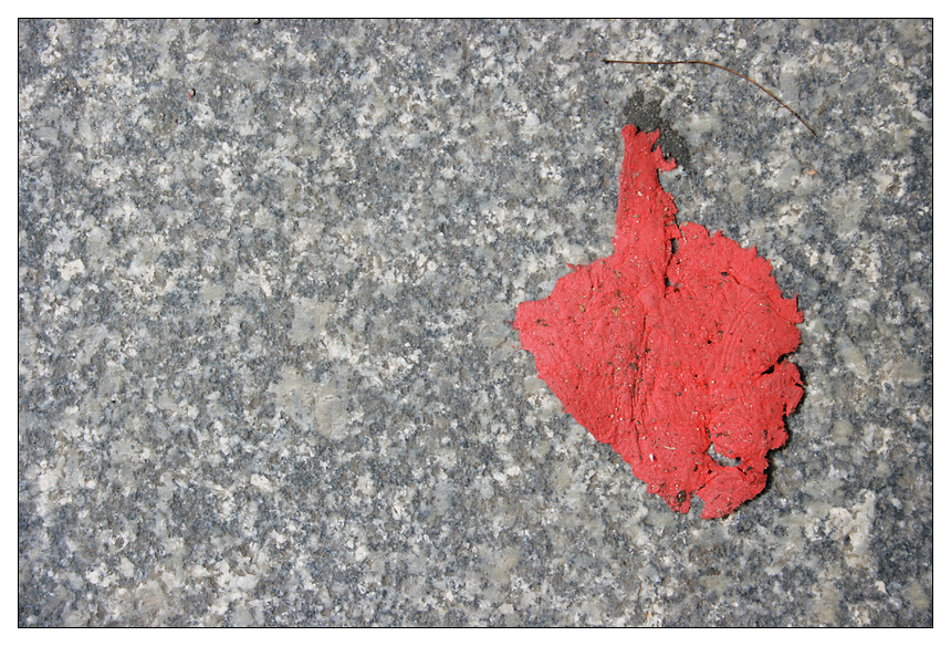 Herz Hand Hahn Foto & Bild | stillleben, zufällige arrangements, motive ...