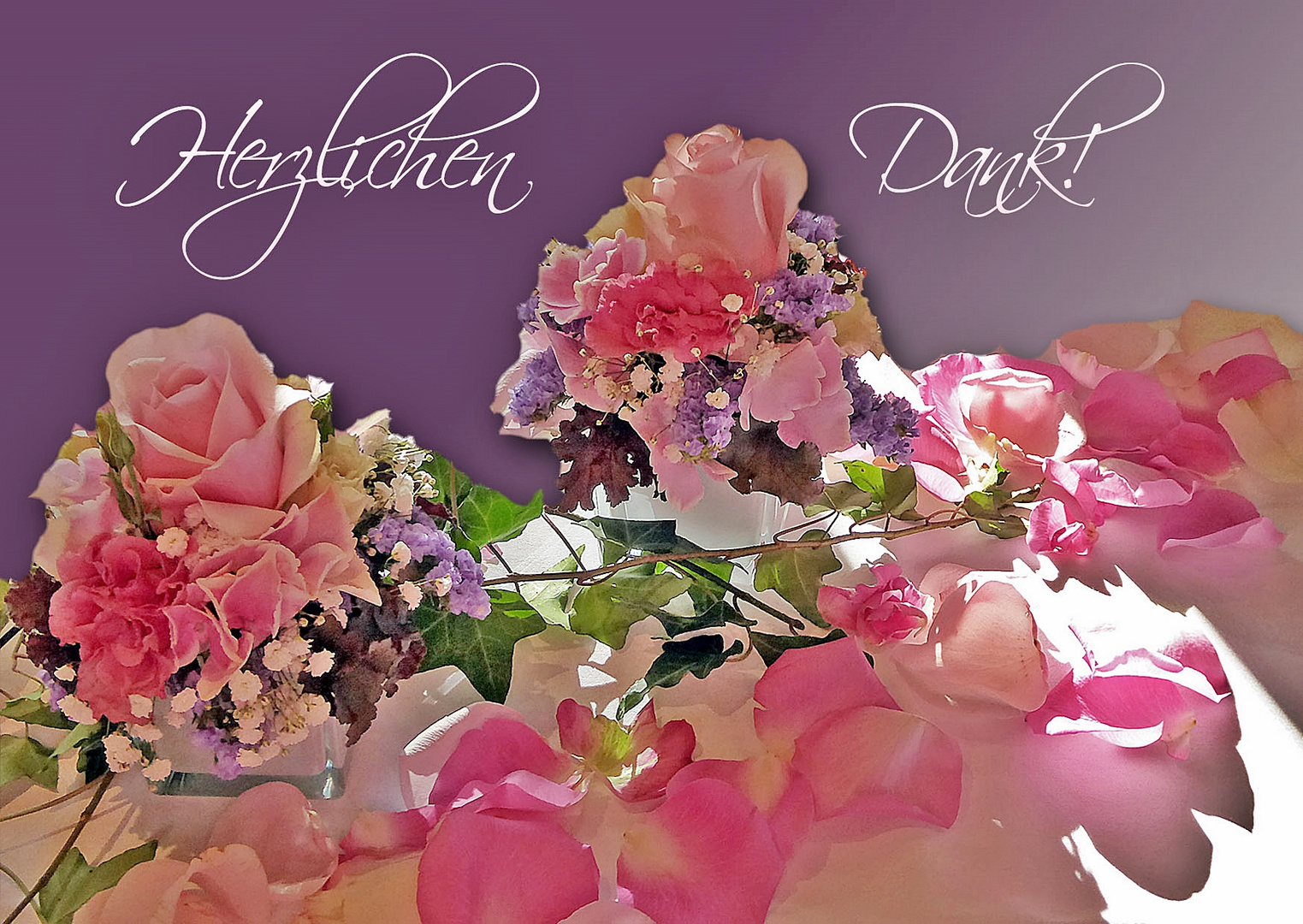 Herzlichen Dank Foto & Bild | spezial, danke Bilder auf fotocommunity