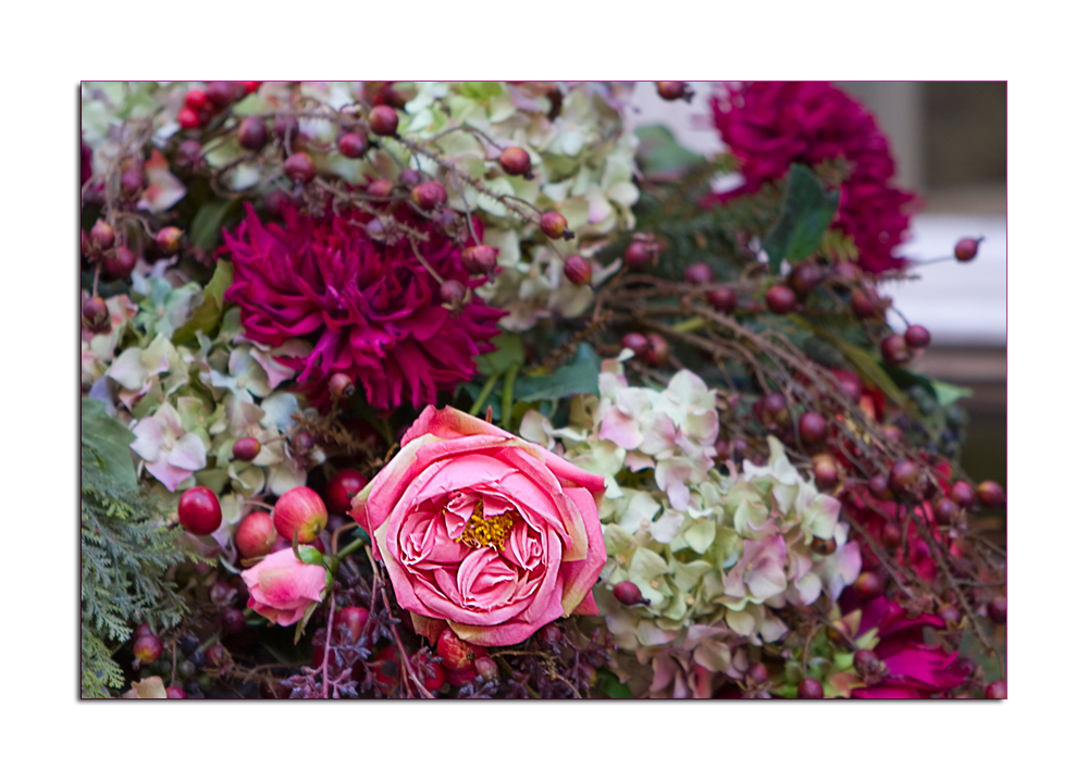 Herzlichen Glückwunsch Foto & Bild | gratulation und feiertage ...