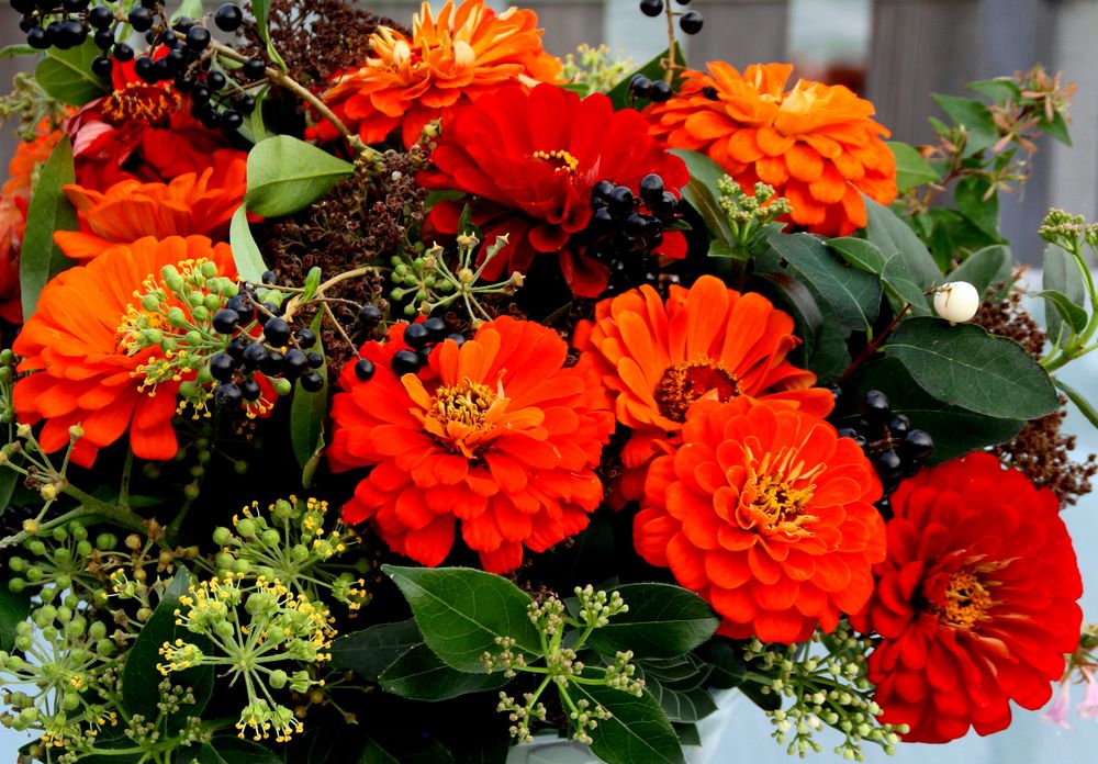 Herzlichen Glückwunsch.... Foto & Bild | gratulation und feiertage ...