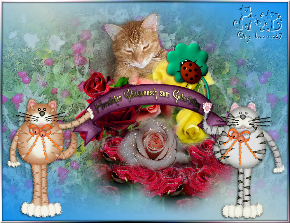 Herzlichen Glückwunsch.................... Foto & Bild | gratulation ...