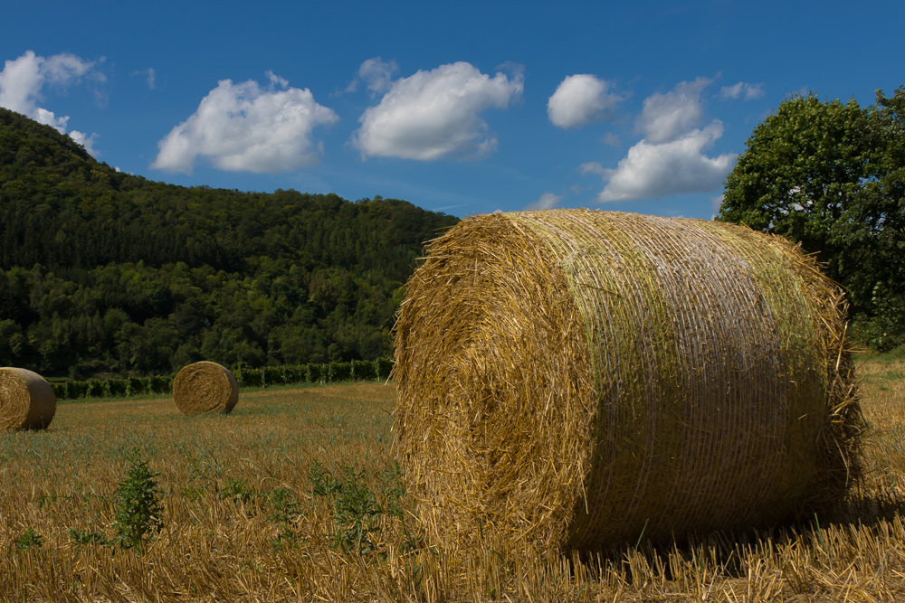 Heu ... Foto & Bild | deutschland, europe, rheinland-pfalz Bilder auf ...
