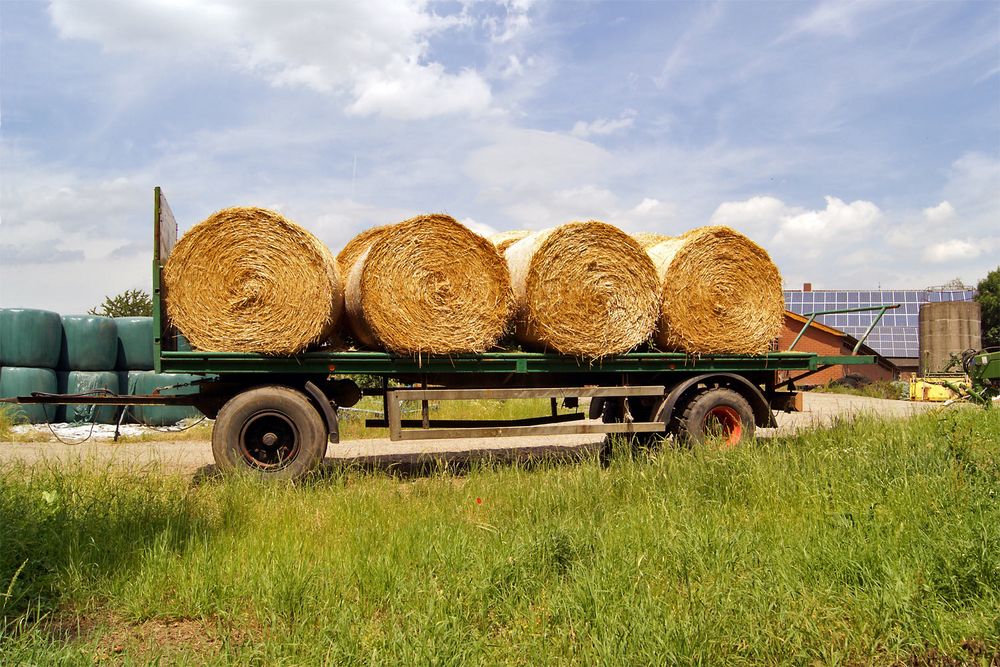 Heu Foto & Bild | spezial, sommer, natur Bilder auf fotocommunity