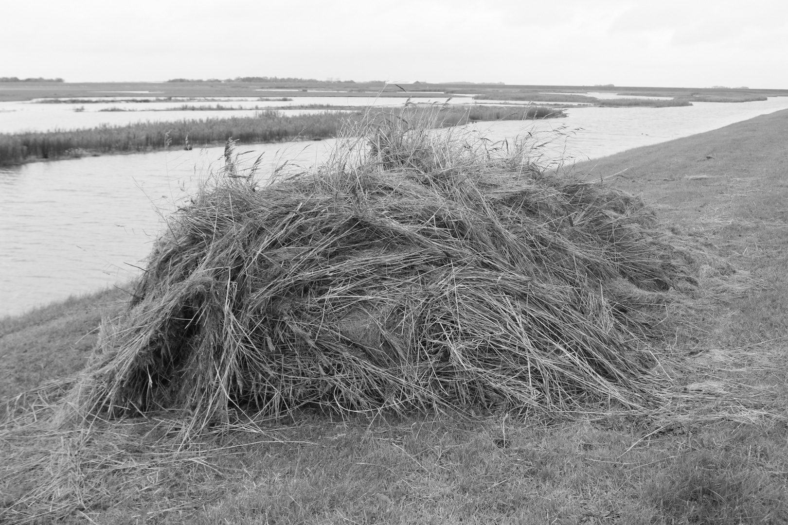 Heu auf Texel Foto & Bild | natur Bilder auf fotocommunity