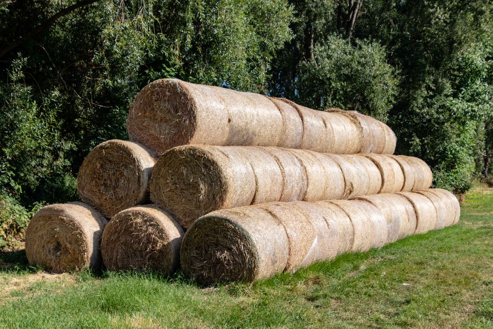 Heu - gepresst und gelagert Foto & Bild | pflanzen, pilze & flechten ...
