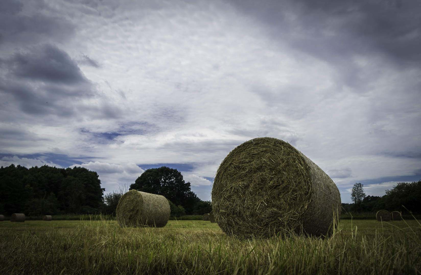 Heuballen (1 von 1) Foto & Bild | wiese, landschaft, heu Bilder auf ...
