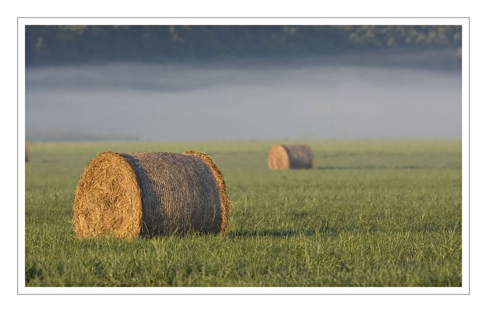 Heuballen... Foto & Bild | landschaft, Äcker, felder & wiesen, natur ...