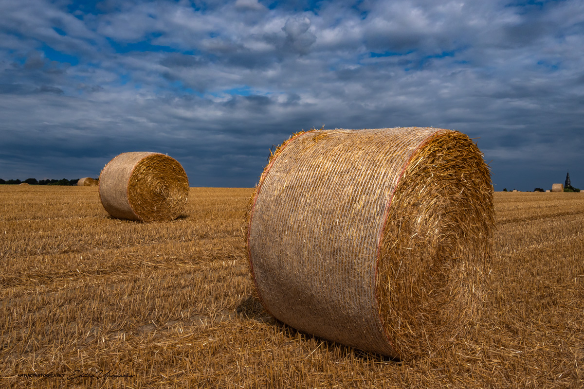 heuballen ganz nah Foto & Bild | landschaft, ländlich, felder Bilder ...
