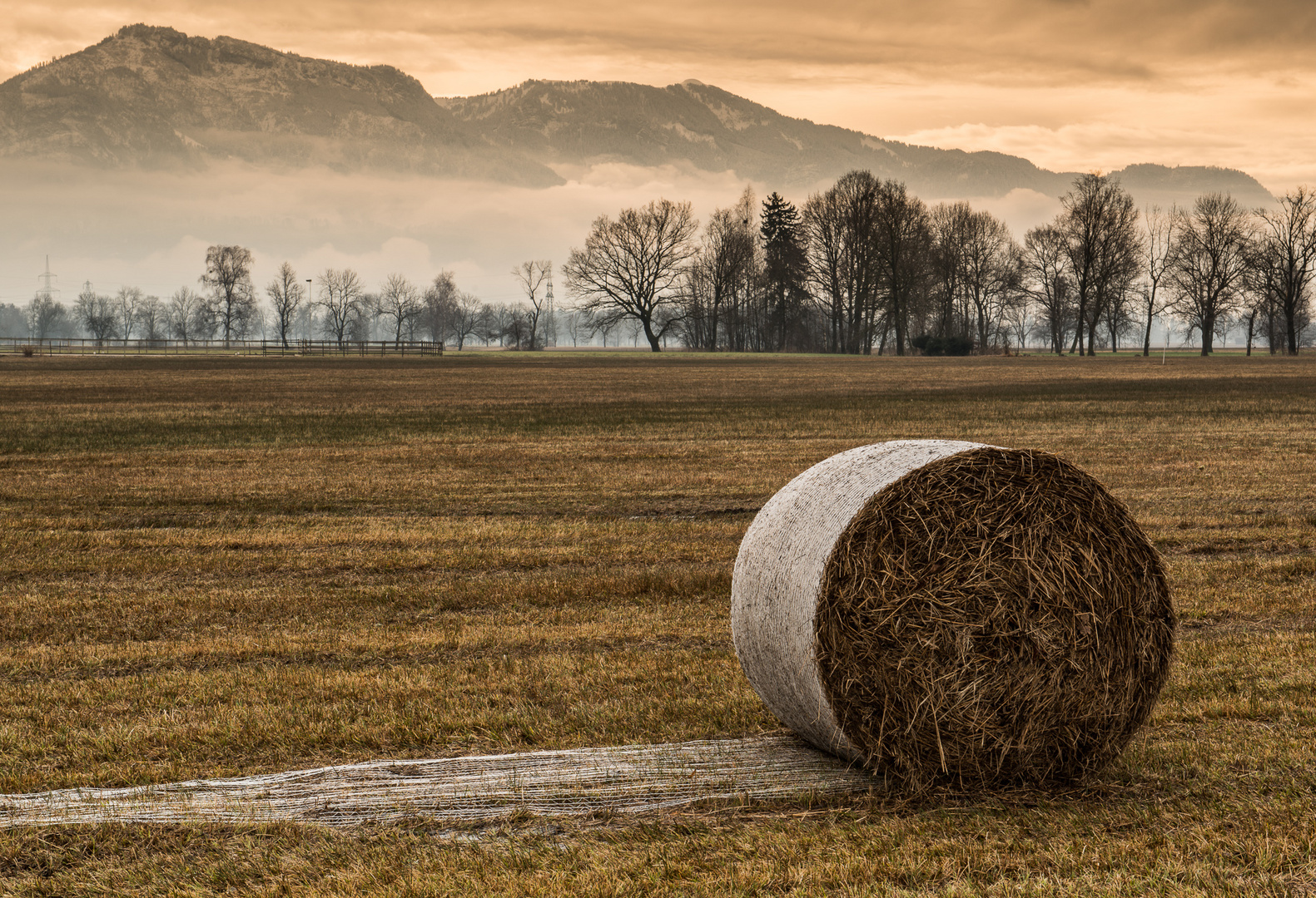 Heuballen im Dornbirner Ried Foto & Bild | landschaft, Äcker, felder ...