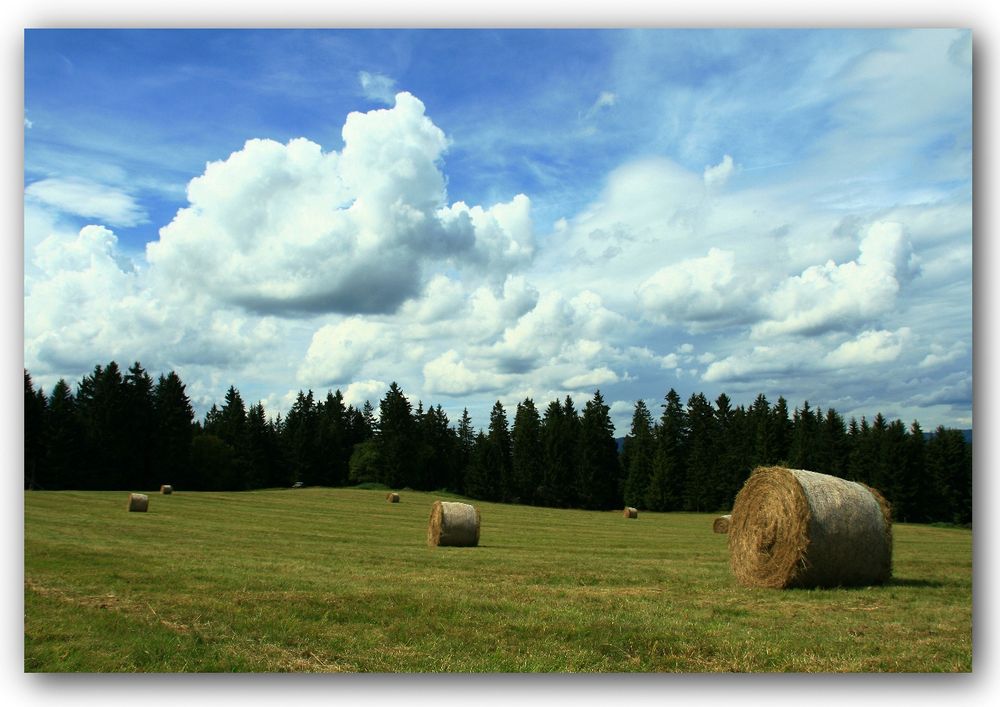 Heuernte Foto & Bild | landschaft, Äcker, felder & wiesen, natur Bilder auf fotocommunity
