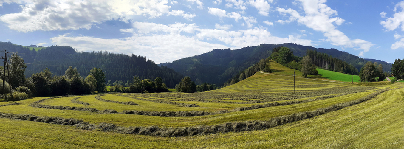 Heuernte Foto & Bild | landschaft, jahreszeiten, lebensräume Bilder auf fotocommunity