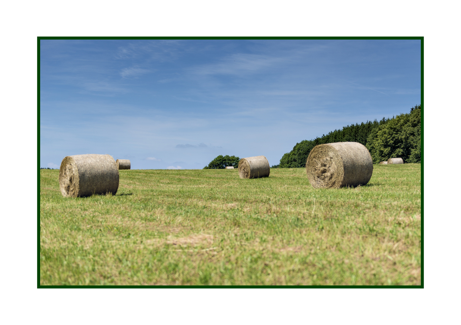 Heuernte Foto & Bild | landschaft, Äcker, felder & wiesen, landschaften & natur Bilder auf ...