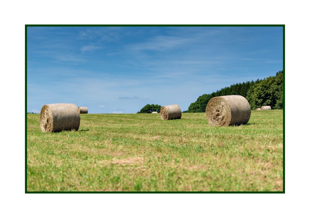 Heuernte Foto & Bild | landschaft, Äcker, felder & wiesen, landschaften & natur Bilder auf ...