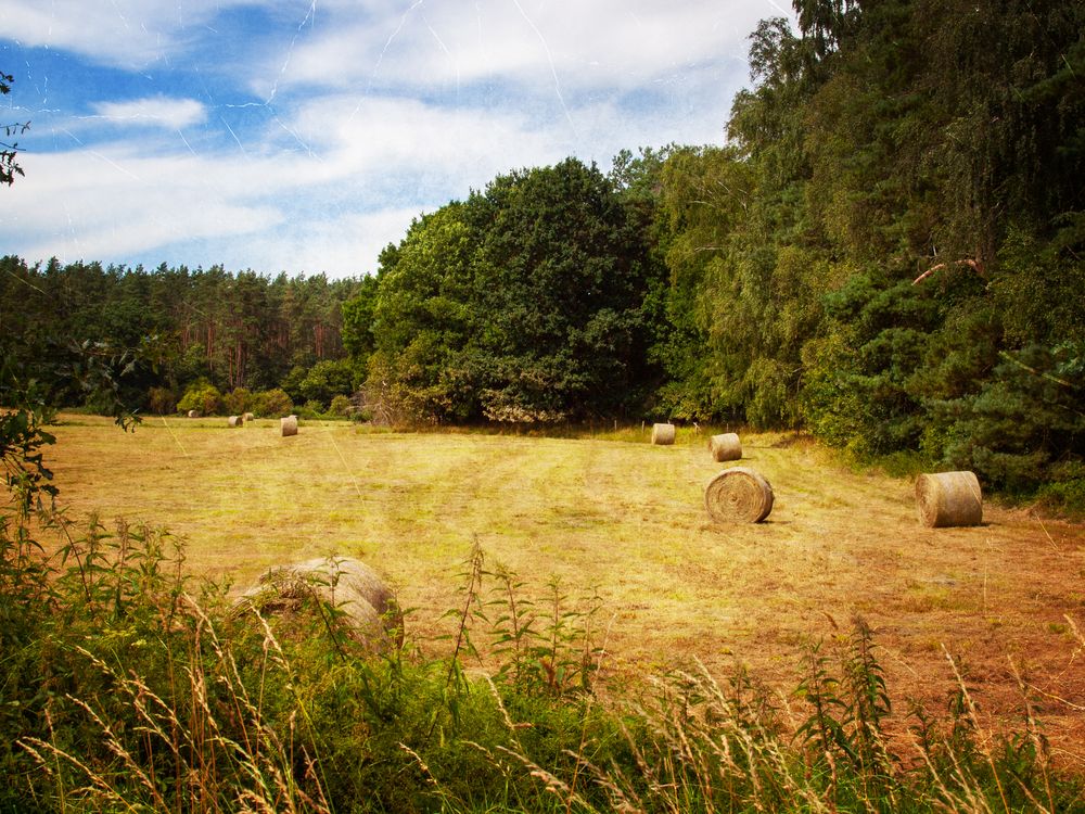 Heuernte Foto & Bild | industrie und technik, landschaft, Äcker, felder & wiesen Bilder auf ...