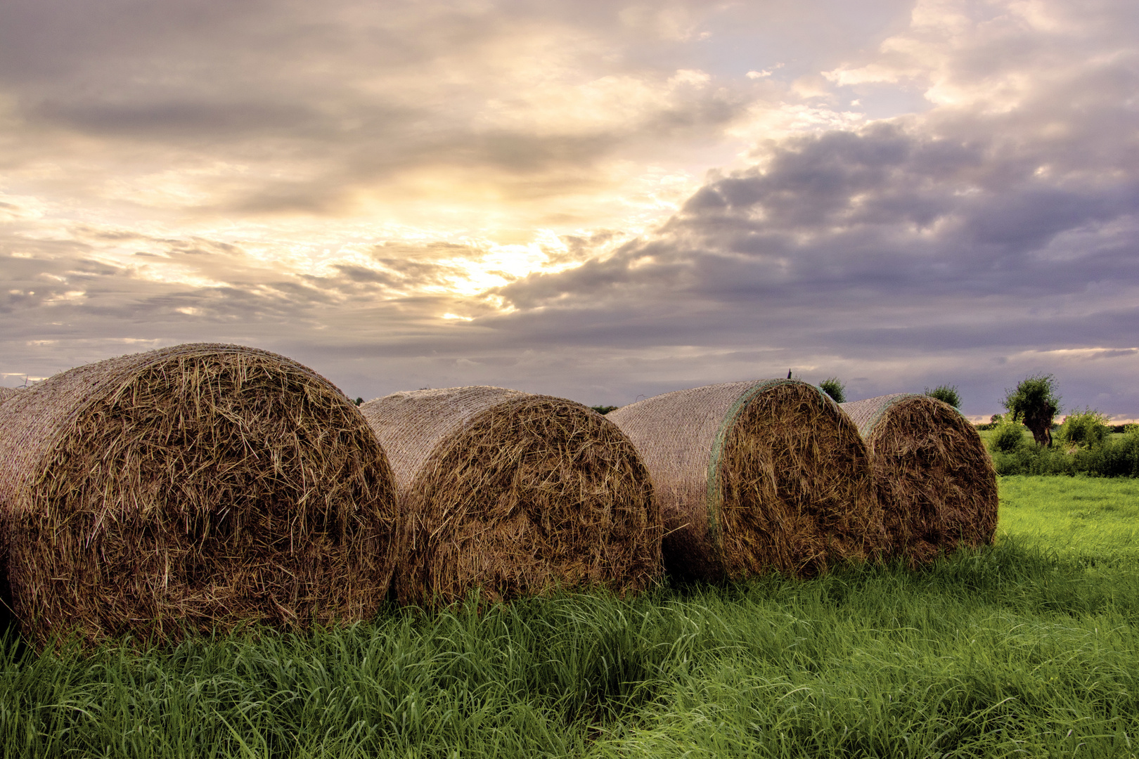 Heuernte Foto & Bild | himmel, natur, landschaft Bilder auf fotocommunity