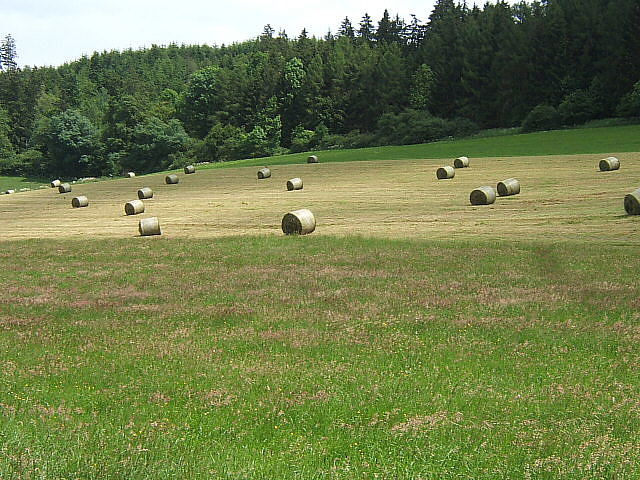 Heuernte Foto & Bild | landschaft, Äcker, felder & wiesen, eder, see und berge Bilder auf ...