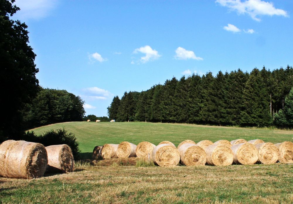 Heuernte Foto & Bild | landschaft, Äcker, felder & wiesen, natur Bilder ...