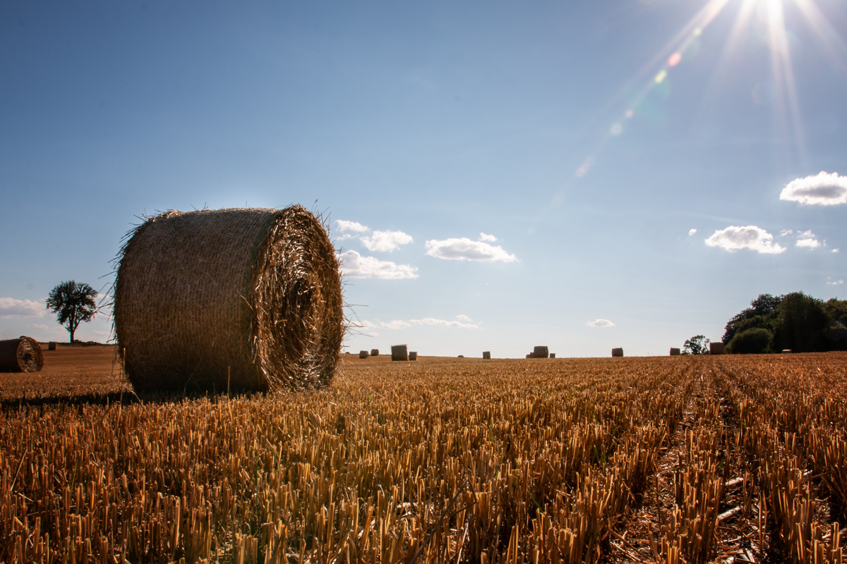 Heuernte Foto & Bild | landschaft, Äcker, felder & wiesen, kulturlandschaften Bilder auf ...