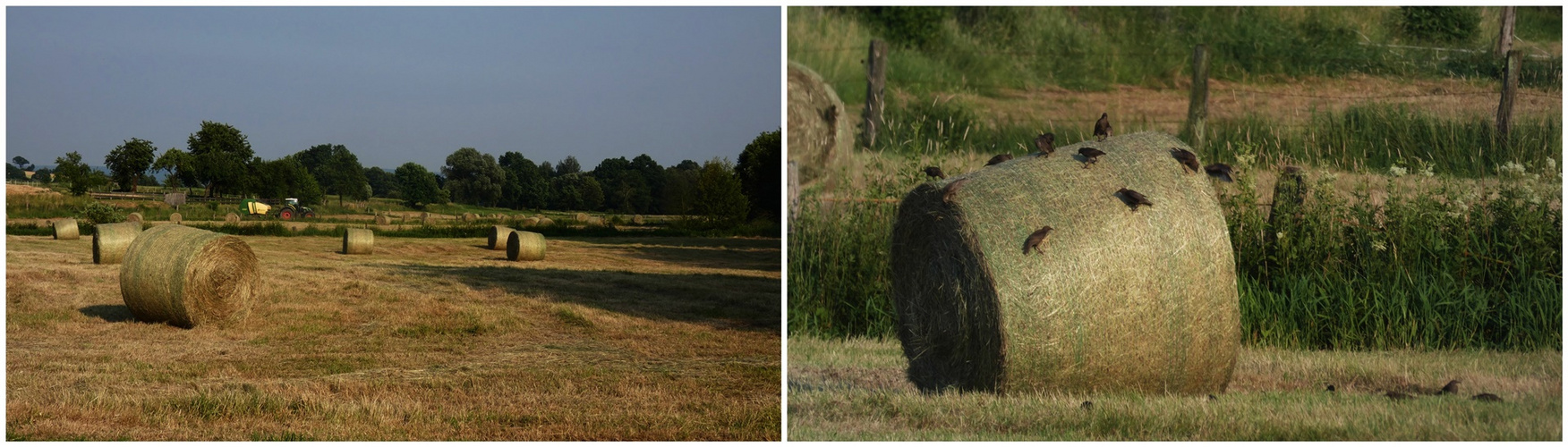 Heuernte Foto & Bild | natur, landschaft, felder heuernte Bilder auf fotocommunity