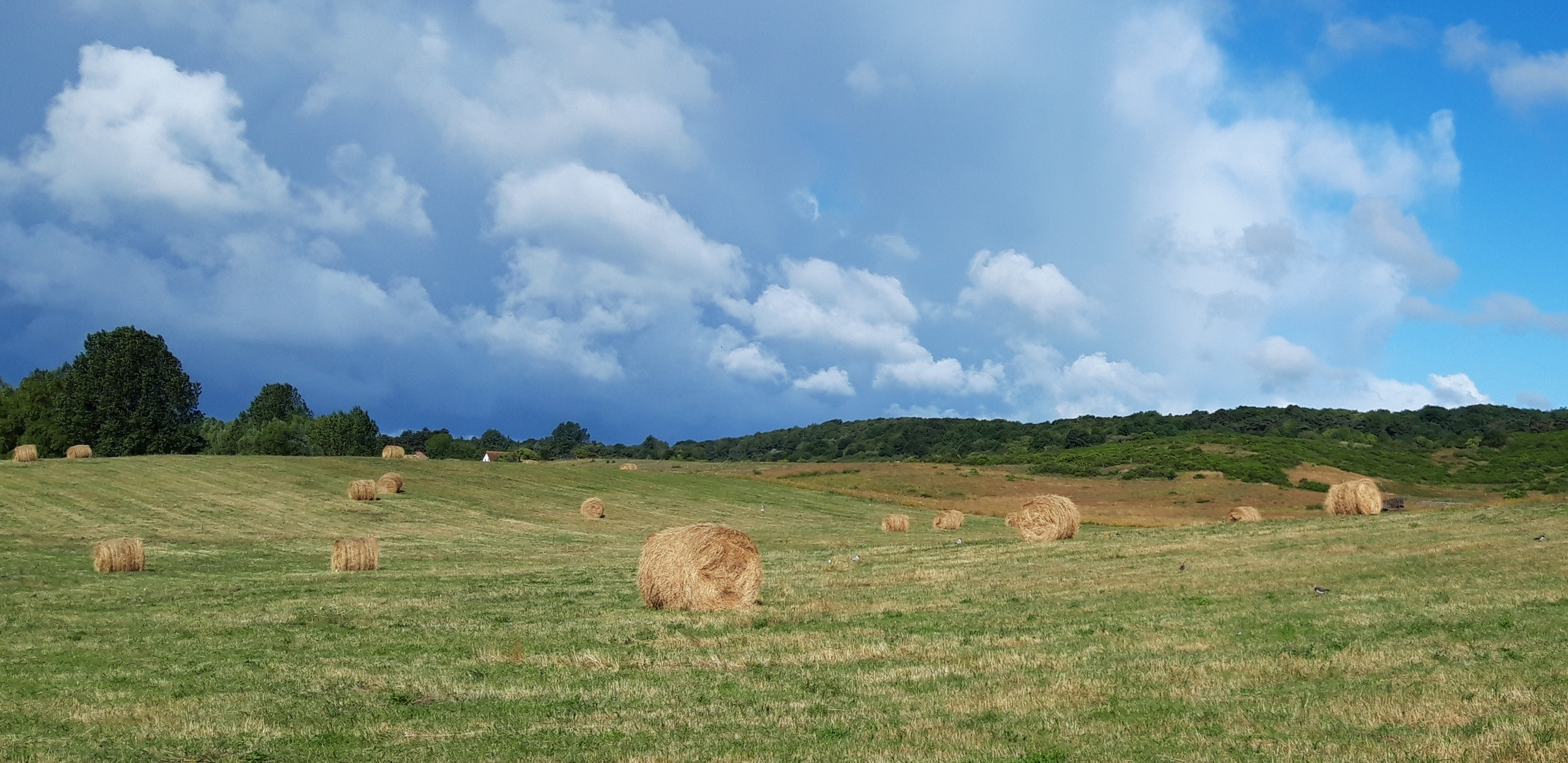 Heuernte Foto & Bild | jahreszeiten, sommer, himmel Bilder auf fotocommunity