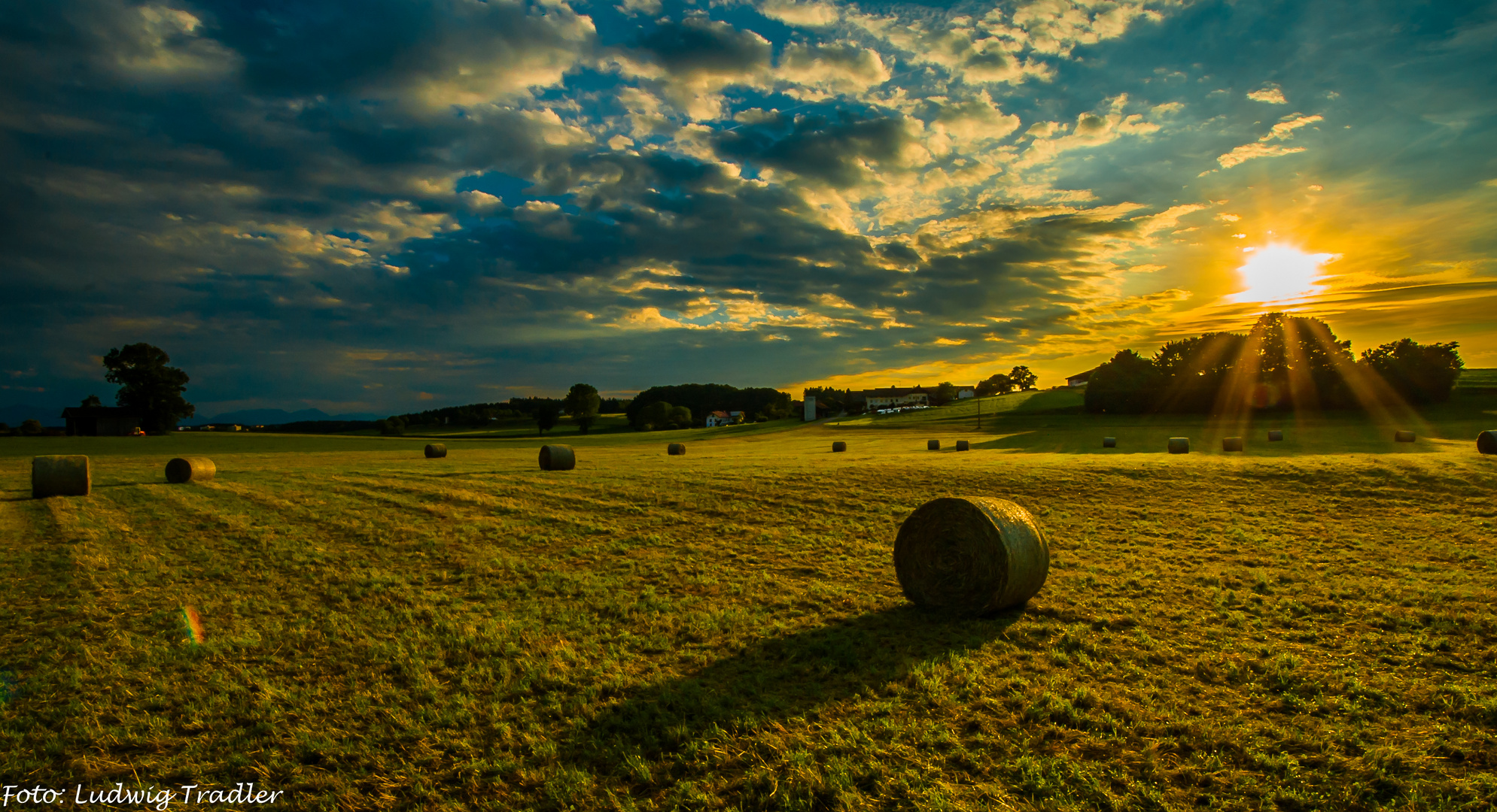 Heuernte Foto & Bild | natur, landschaft, tiere Bilder auf fotocommunity