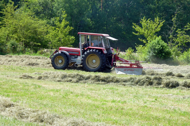 Heuernte Foto & Bild | landschaft, Äcker, felder & wiesen, natur Bilder auf fotocommunity