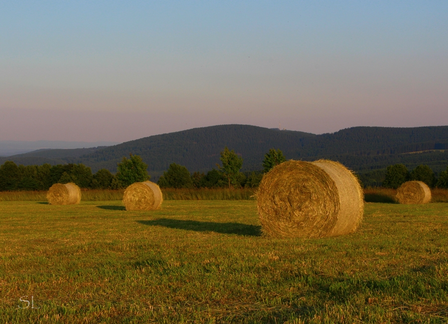 Heuernte Foto & Bild | anfängerecke - nachgefragt, nachgefragt-landschaft, landschaften Bilder ...