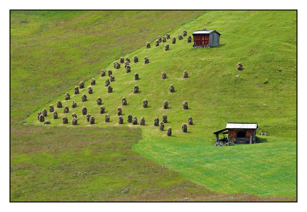 Heuernte an der Unterstaller Alm Foto & Bild | landschaft, Äcker, felder & wiesen, in den alpen ...
