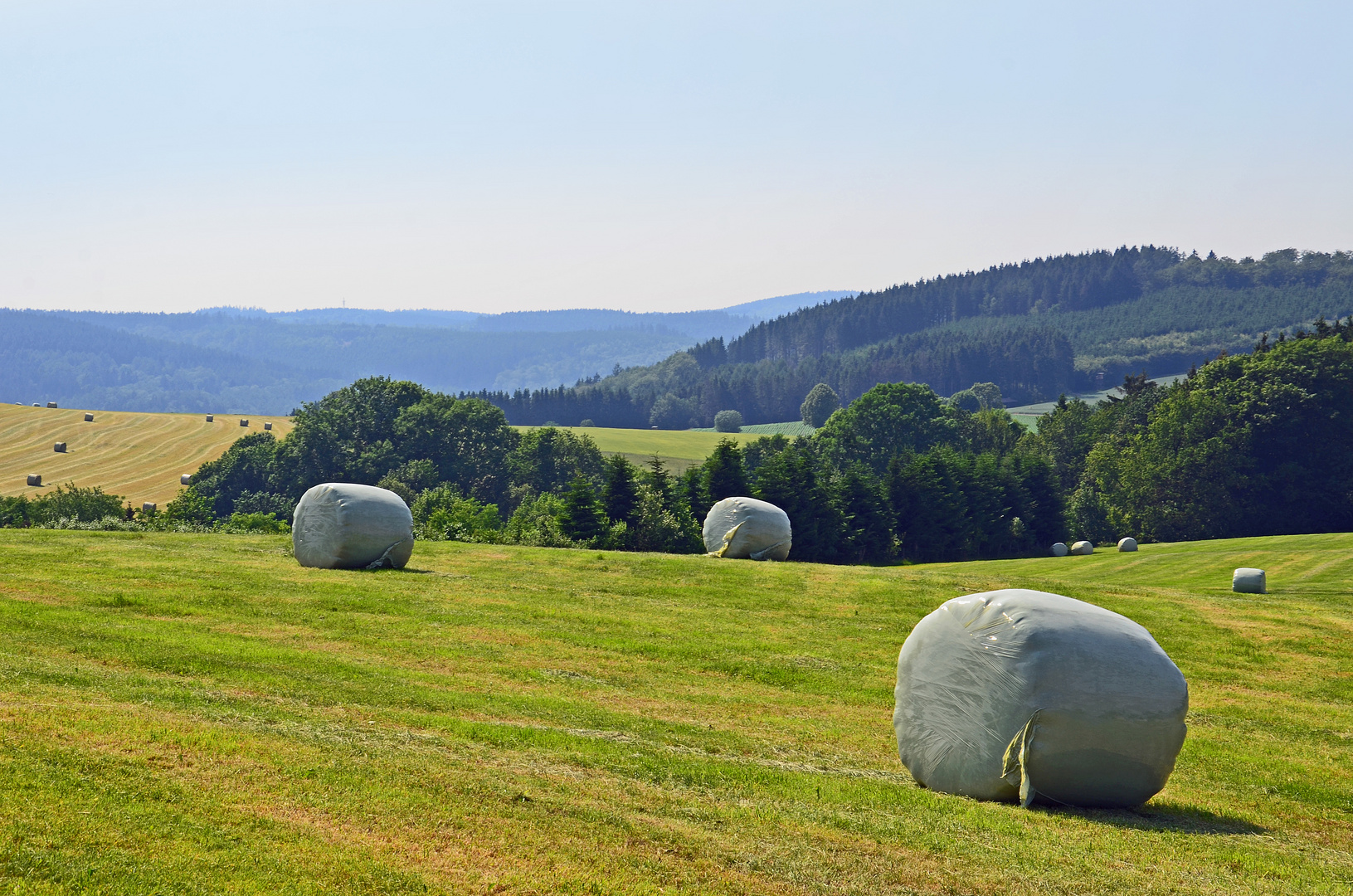 Heuernte Foto & Bild | deutschland, europe, nordrhein- westfalen Bilder auf fotocommunity