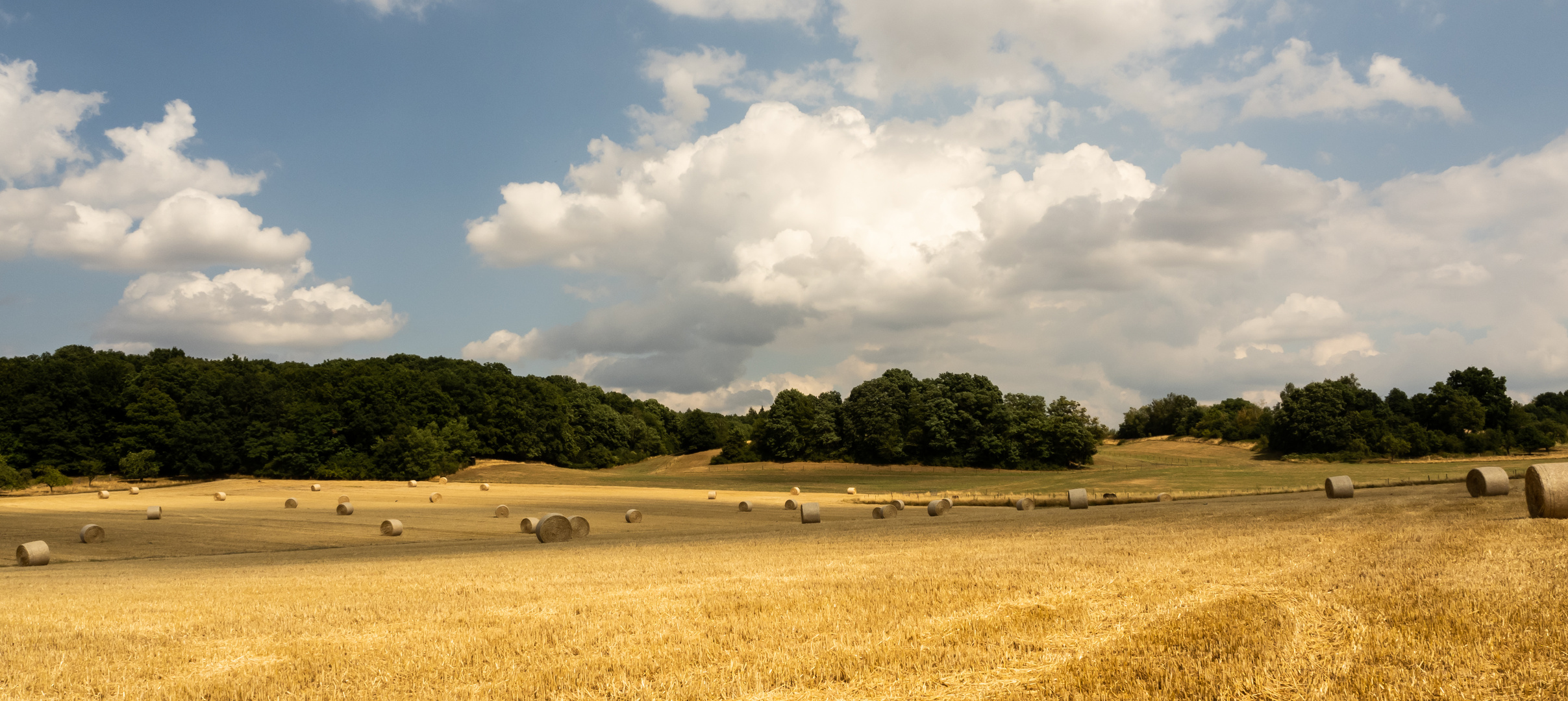 Heuernte Foto & Bild | landschaft, Äcker, felder & wiesen, sommer Bilder auf fotocommunity
