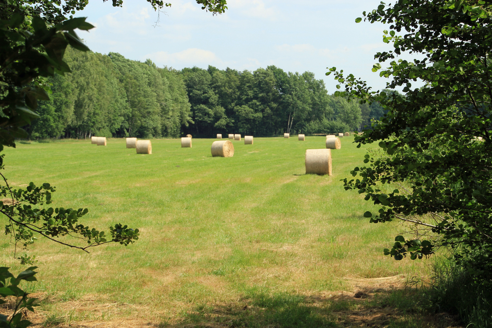Heuernte Foto & Bild | landschaft, Äcker, felder & wiesen, natur Bilder ...