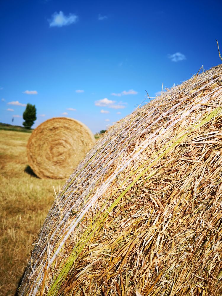Heuernte Foto & Bild | landschaft, Äcker, felder & wiesen, fotos Bilder auf fotocommunity