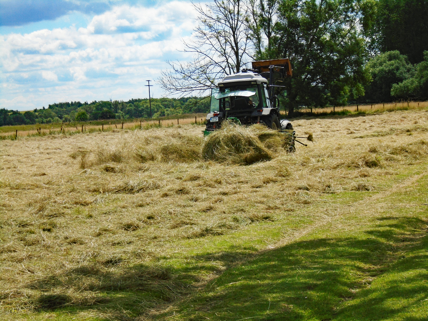 Heuernte Foto & Bild | spezial, dokumentation, natur Bilder auf fotocommunity