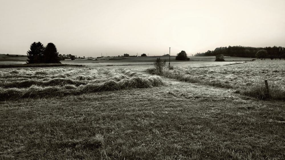 Heuernte Foto & Bild | landschaft, projekte, Äcker, felder & wiesen Bilder auf fotocommunity