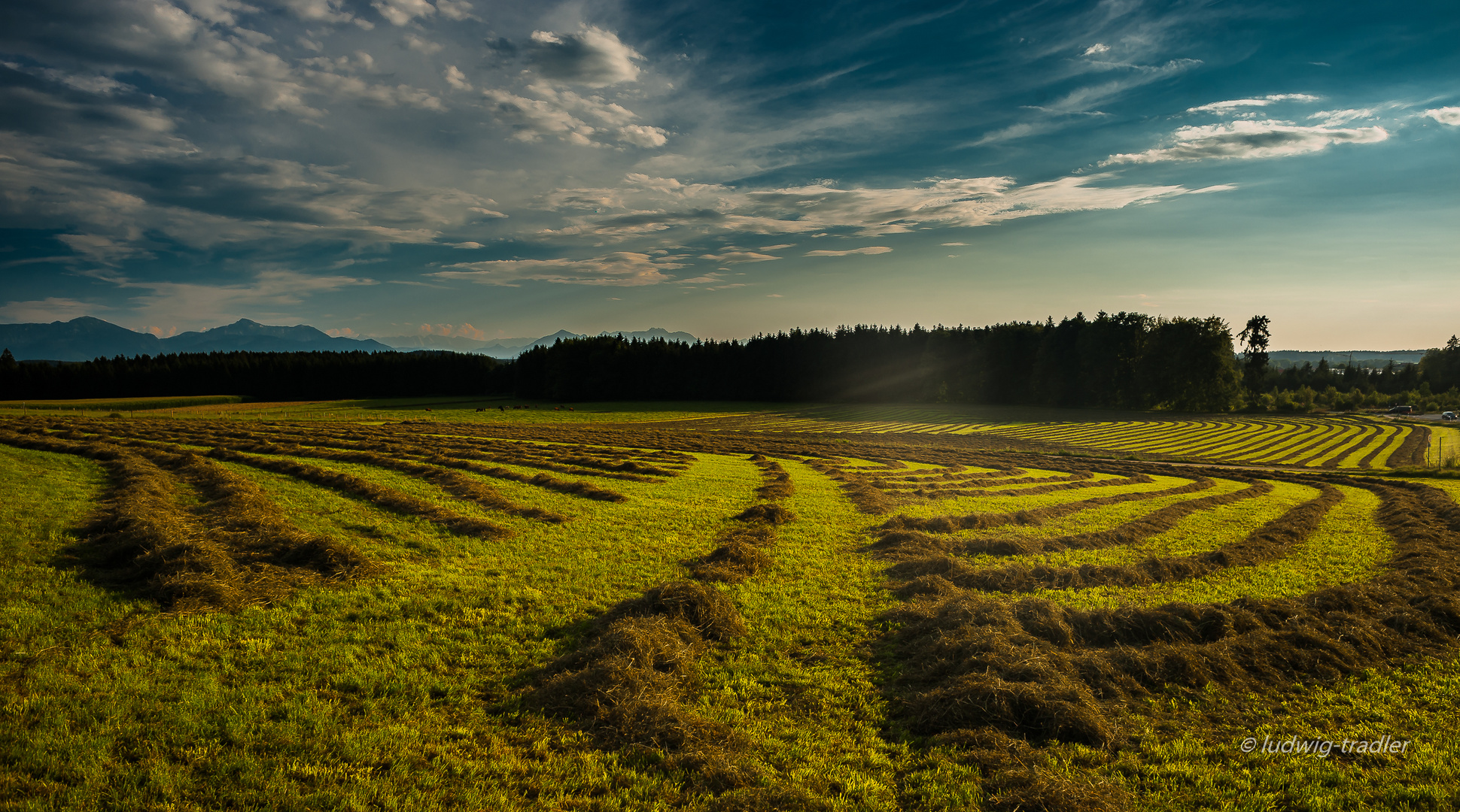Heuernte Foto & Bild | landschaft, jahreszeiten, sommer Bilder auf fotocommunity