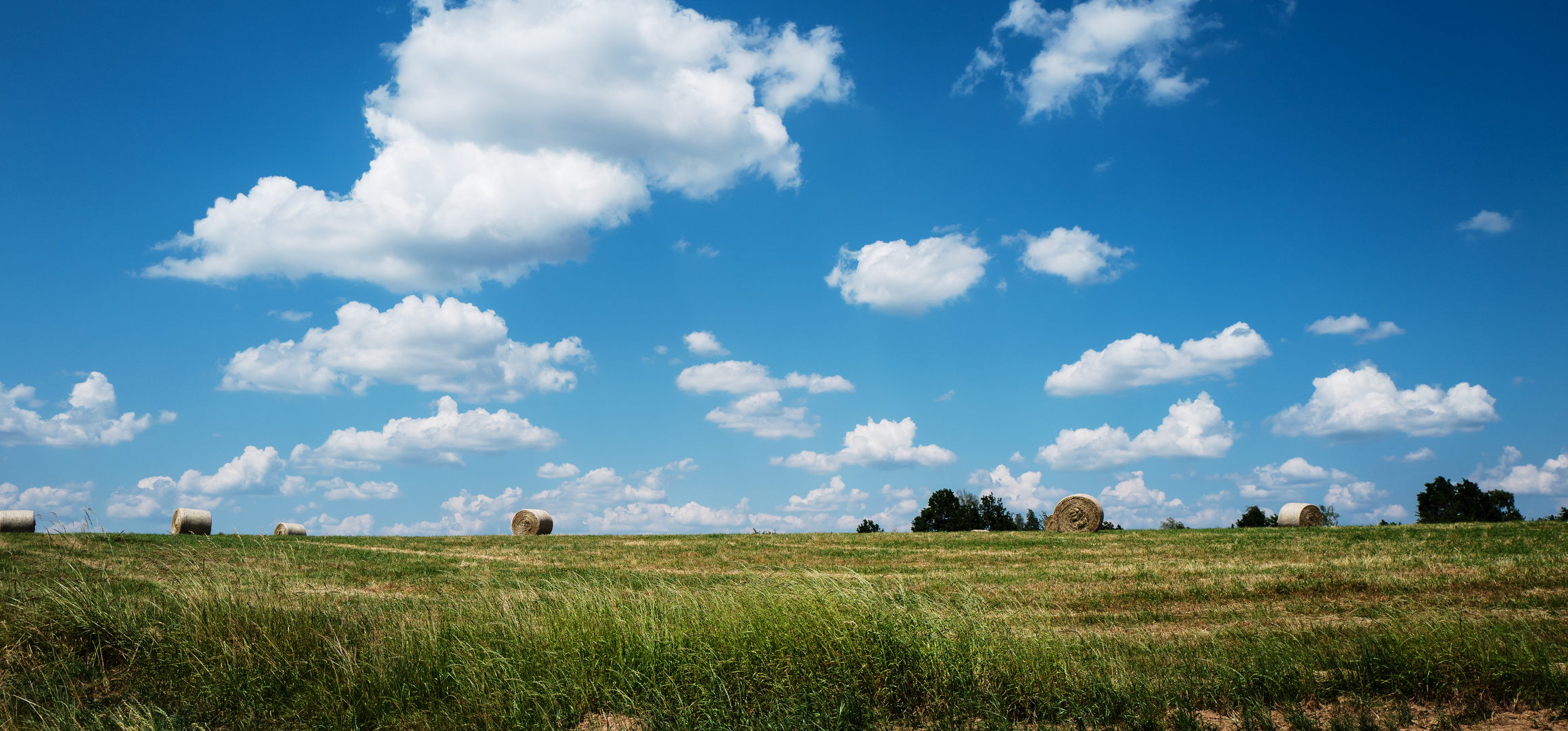Heuernte Foto & Bild | landschaft, Äcker, felder & wiesen, frühling Bilder auf fotocommunity
