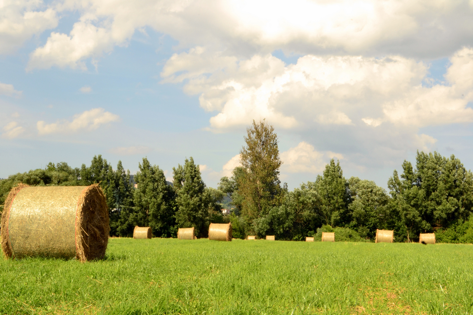 Heuernte Foto & Bild | landschaft, lebensräume, ernte Bilder auf fotocommunity
