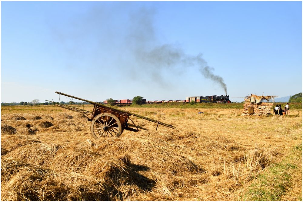 Heuernte I Foto & Bild | industrie und technik, züge, dampf-, diesel ...