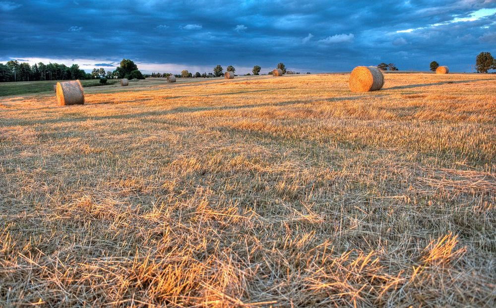 Heuernte - Teil 3 Foto & Bild | landschaft, Äcker, felder & wiesen, landschaften Bilder auf ...