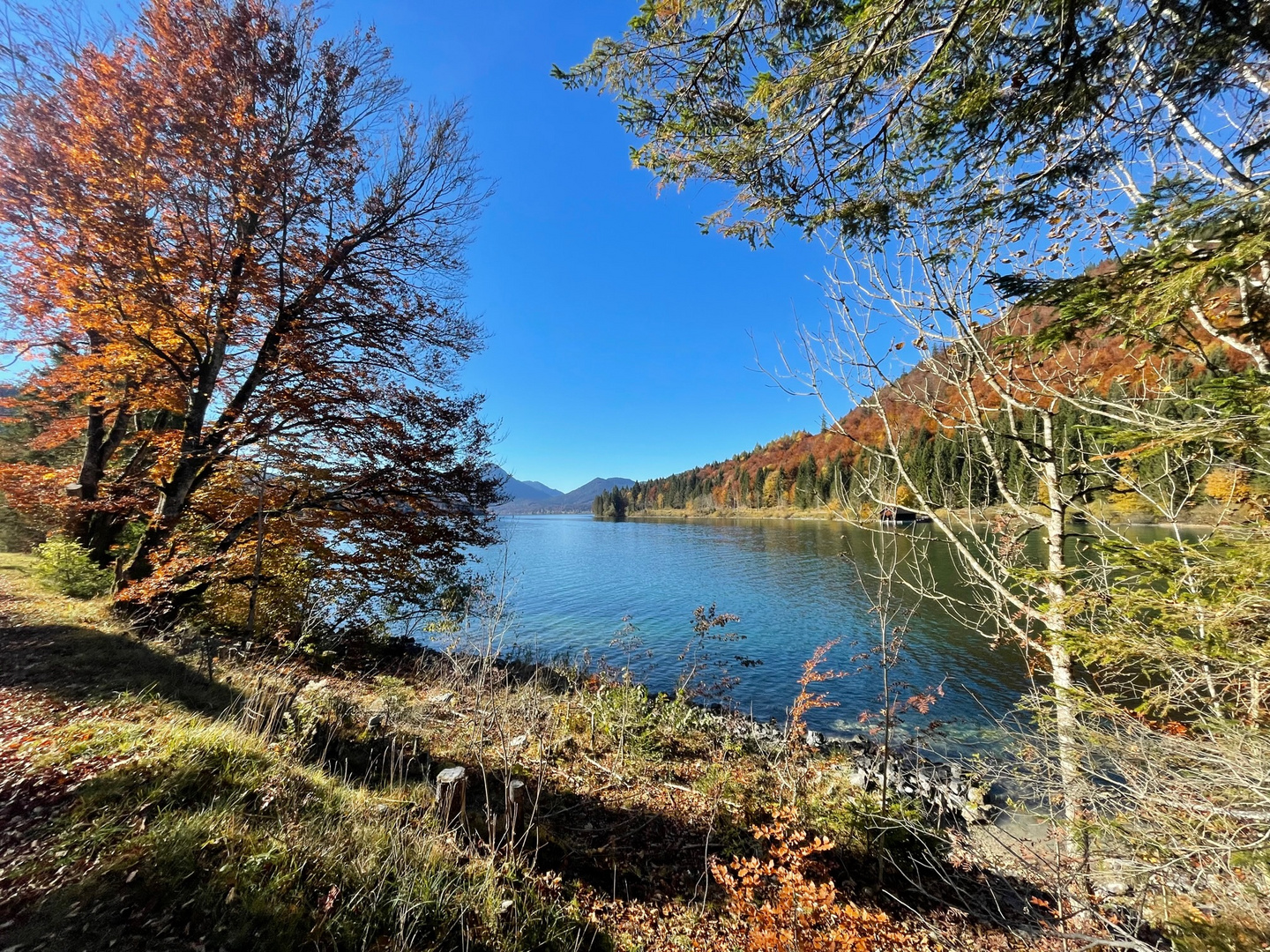 heute am Walchensee ... Foto & Bild | jahreszeiten, herbst, natur Bilder auf fotocommunity