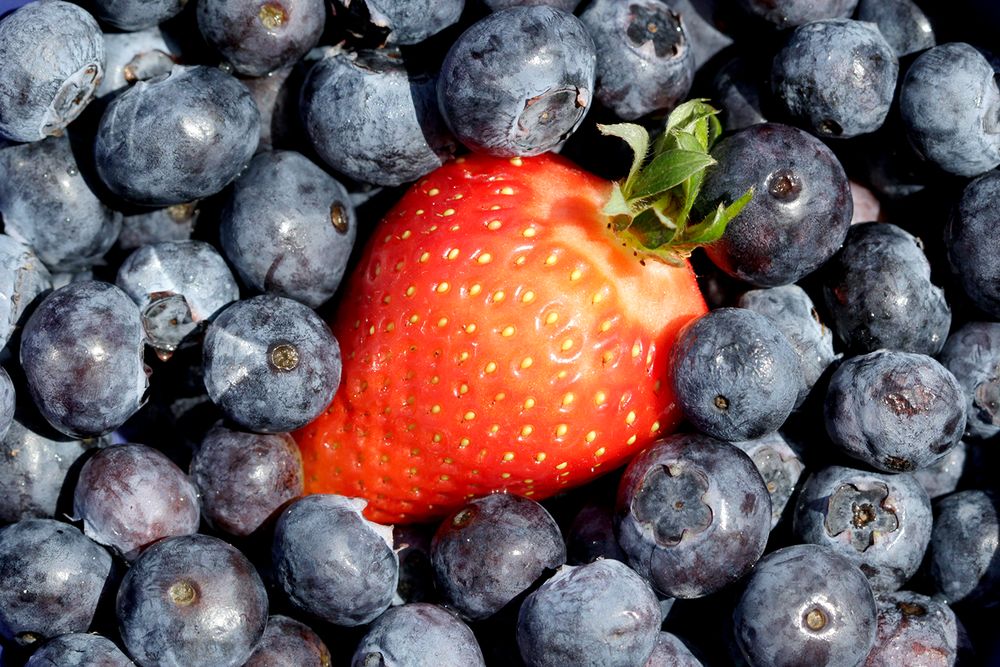 Heute gibt´s Obst Foto & Bild | stillleben, food-fotografie, obst & gemüse Bilder auf fotocommunity