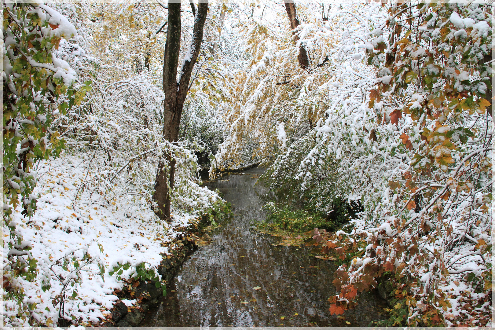 Heute kam der Winter.... Foto & Bild | jahreszeiten, winter, münchen ...