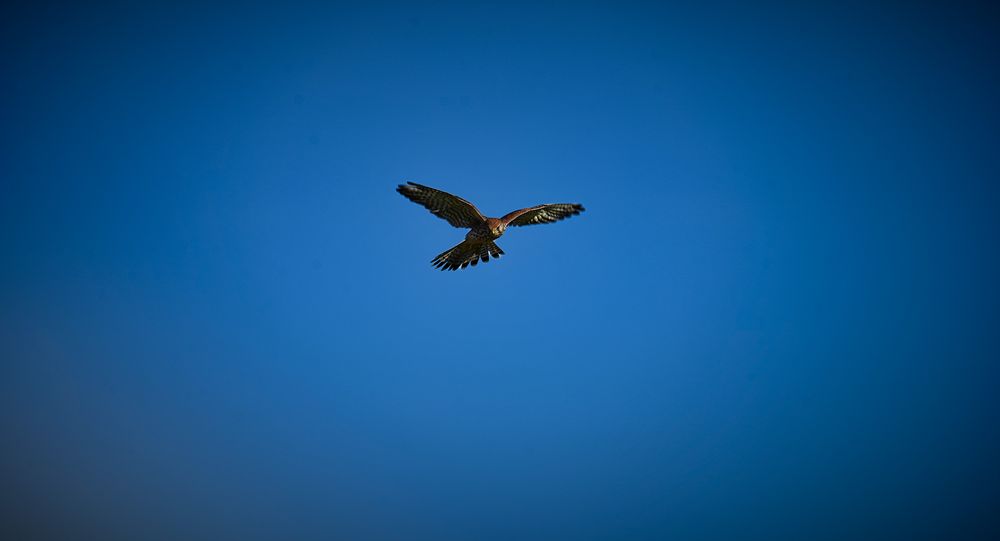 heute mache ich mal wieder blau Foto & Bild | fotos, spezial, himmel ...