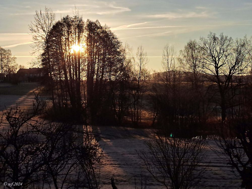 Heute morgen Foto & Bild | landschaft, jahreszeiten, winter Bilder auf fotocommunity