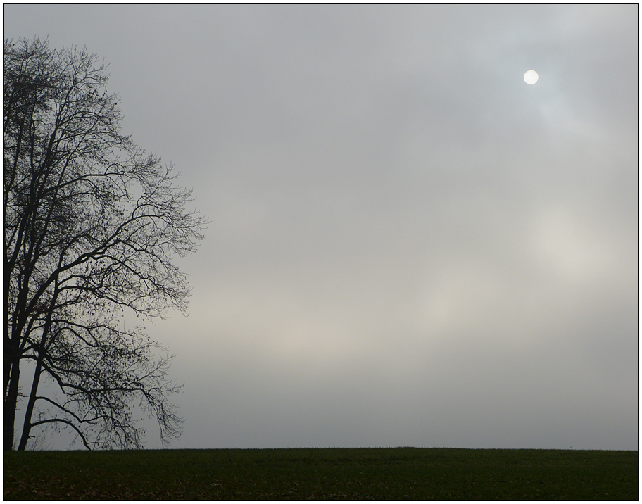 heute neblig :-( Foto & Bild | lützelsee, natur Bilder auf fotocommunity