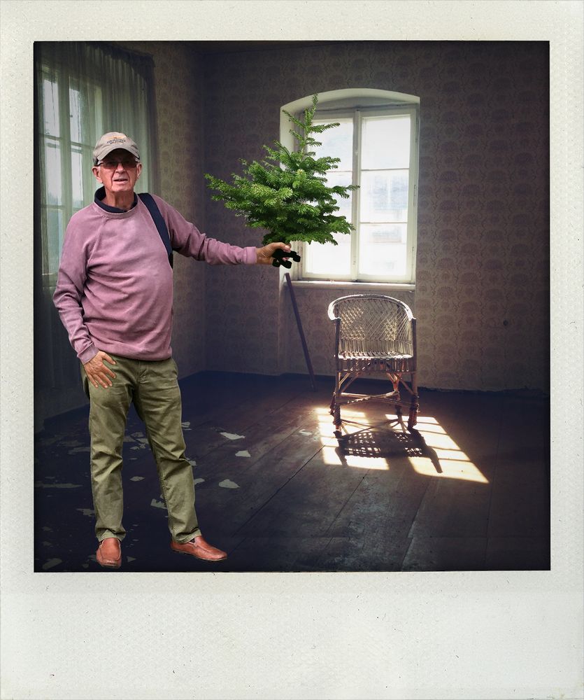 Heute wird der Christbaum geschmückt ! Foto & Bild | portrait ...